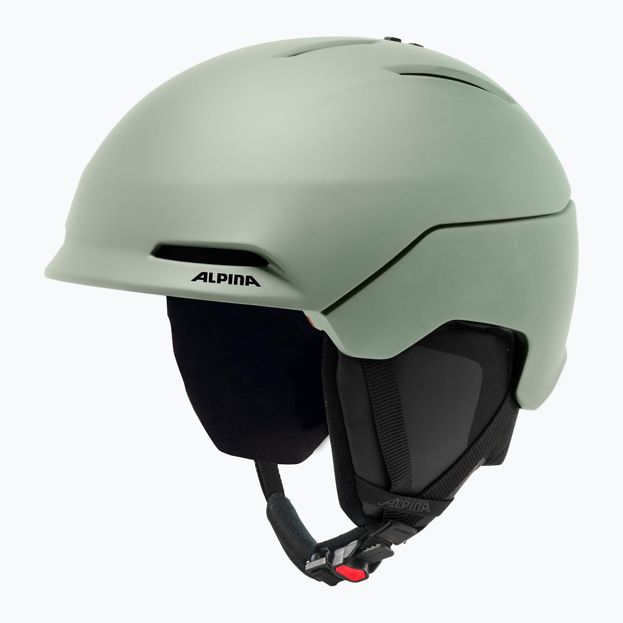 Skihelm Alpina Nax willow/ green matt (A9255321) - Sportano.de